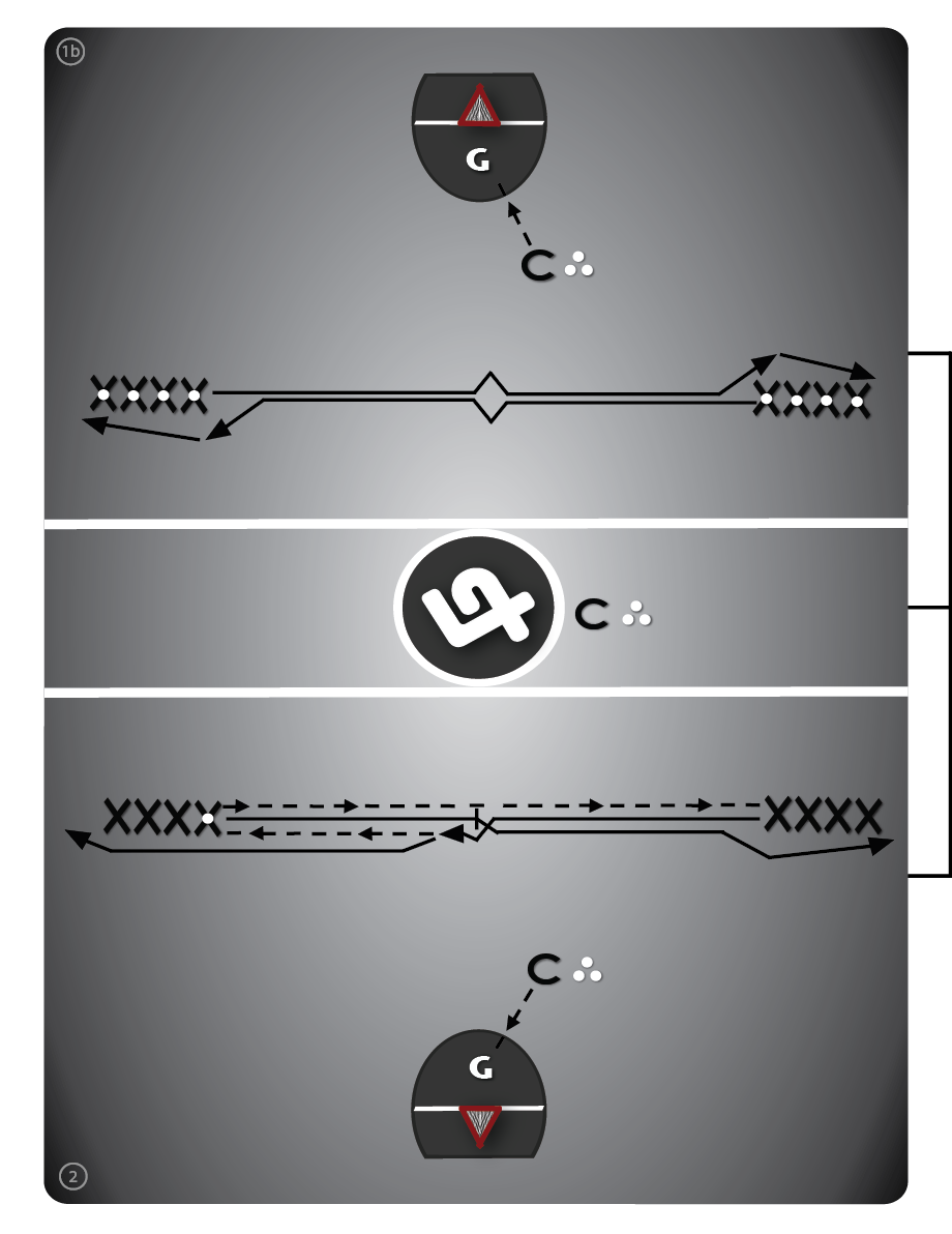 Beginner Lacrosse Drills: Dodging (Ball Protection)
